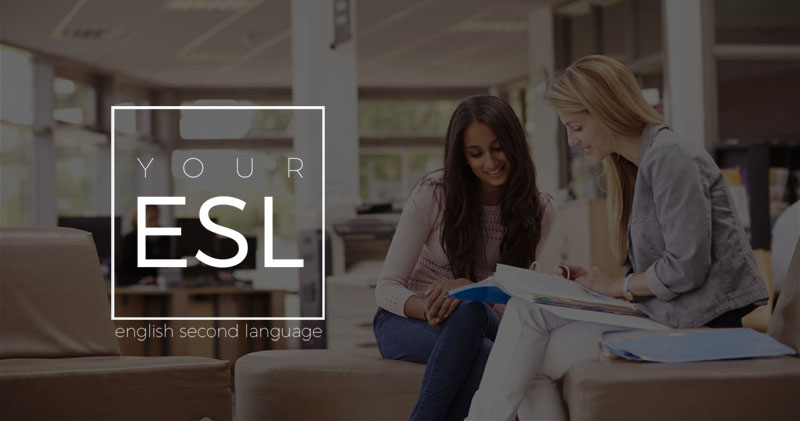 Stodginess - Because Invoicing is Dull